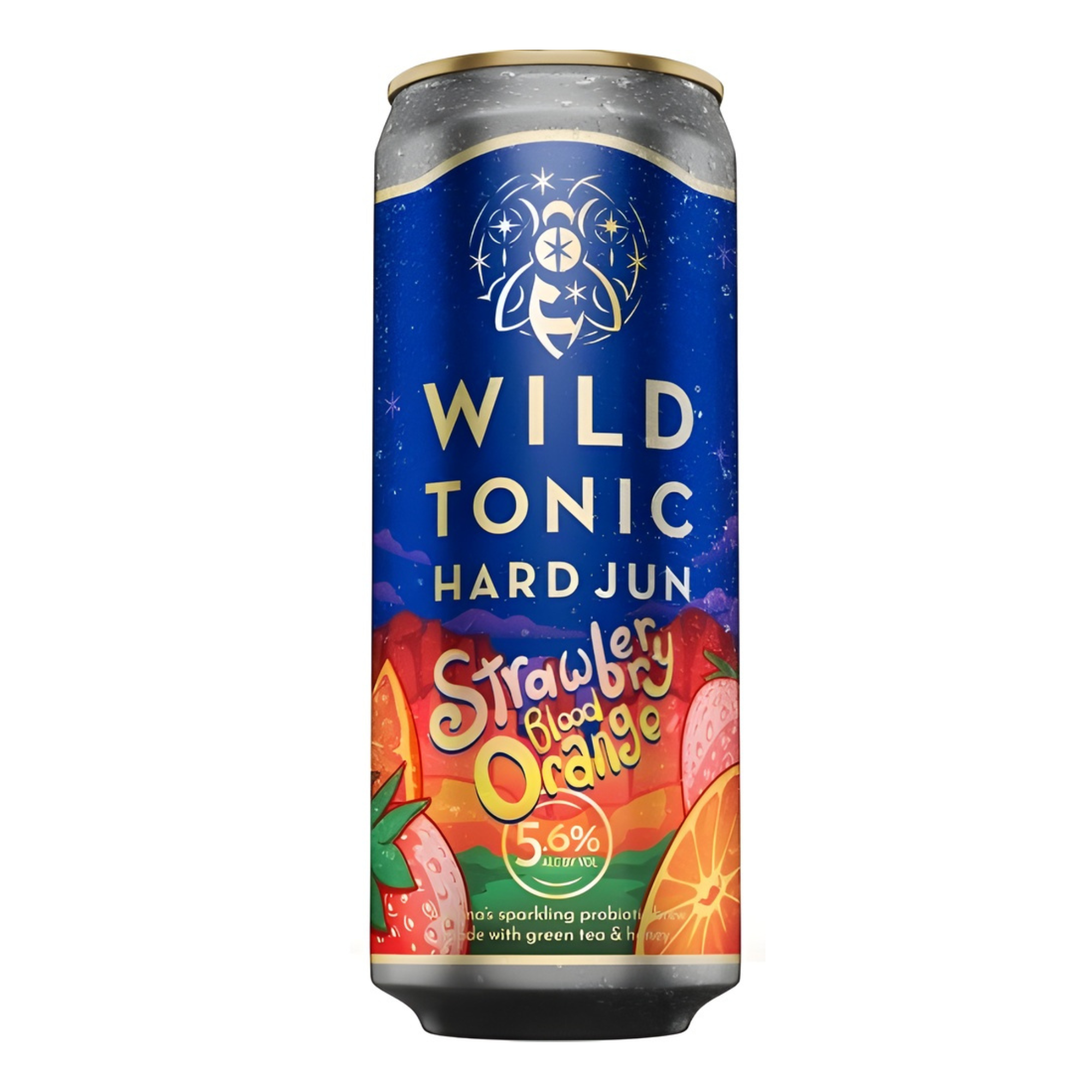 Wild Tonic Strawberry Blood Orange 12oz CAN – Park Plaza Liquor and Deli